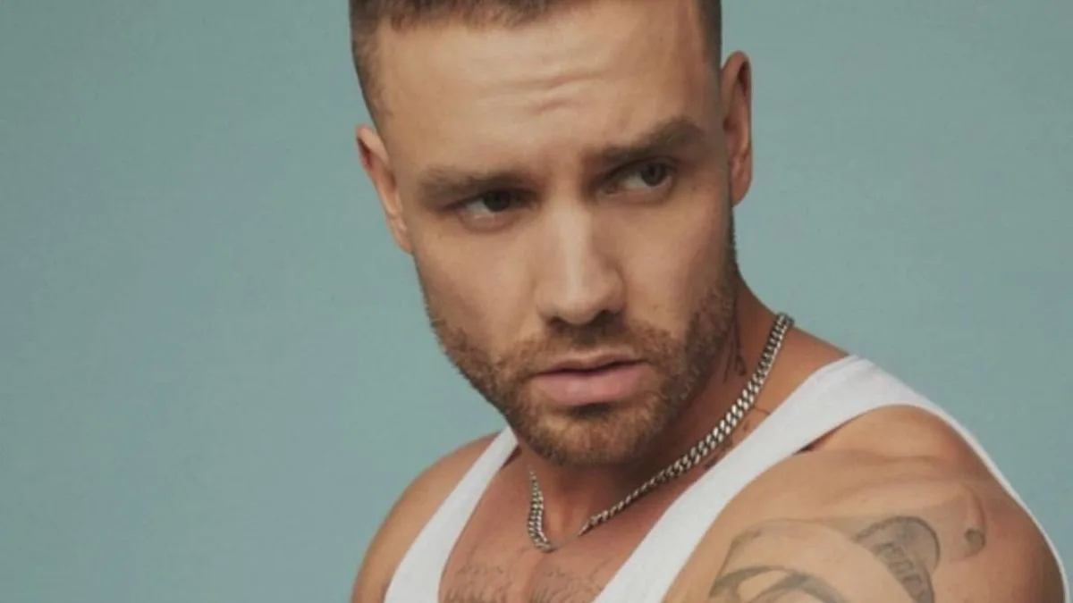 Liam Payne: vicio, acusações de perseguição e cancelamento