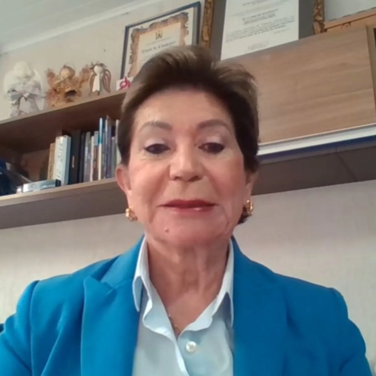 Elizabeth Schmidt quer licitar transporte em Ponta Grossa