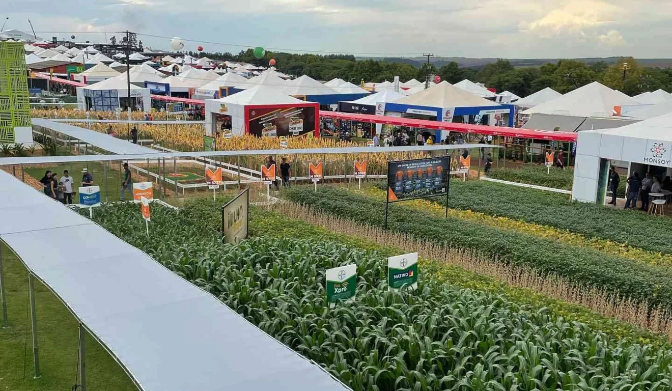 Veja as principais atrações do Show Rural 2025 nessa semana - RIC.com.br